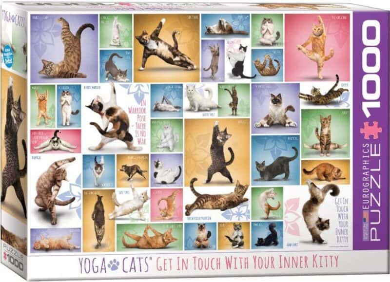 Los mejores puzzles de gatos