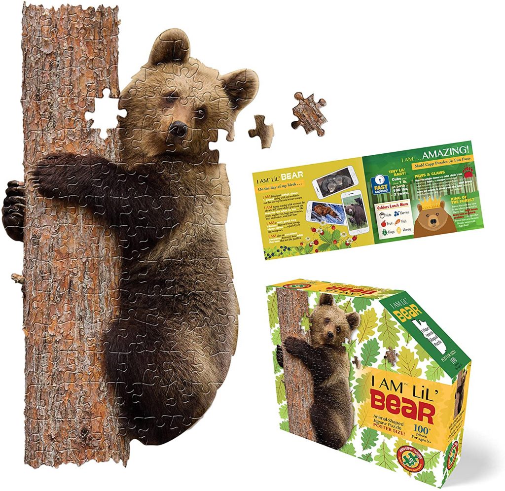 Los mejores puzzles de osos pardos