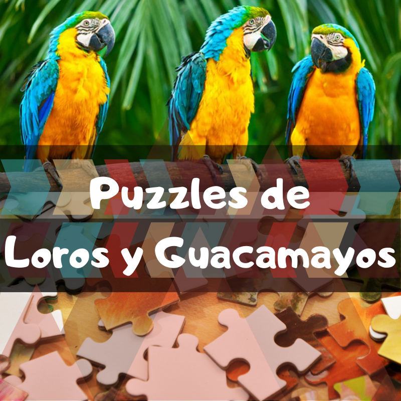 Los mejores puzzles del mundo animal - Juegos de mesa y puzzles