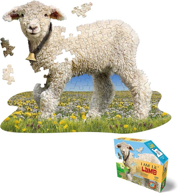 🥇Los mejores puzzles de formas de animales🥇